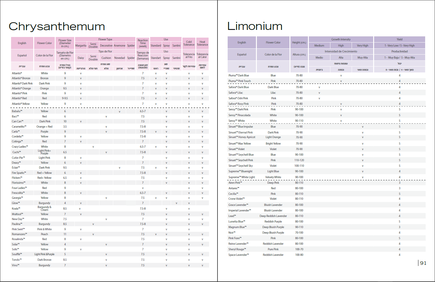 Flower catalogs - A selection of 10 real catalogs of different brands