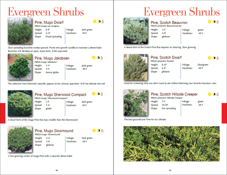 Plant catalogs - Discover our selection of plant catalogs to get ...