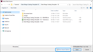 Data Merge InDesign: Best Tutorial and 10 Templates | Pagination